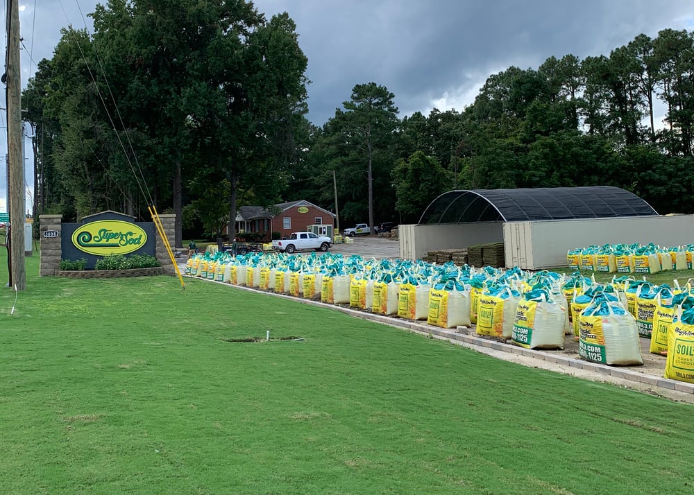 Columbia, SC | Super-Sod | Farm-fresh sod for the Midlands
